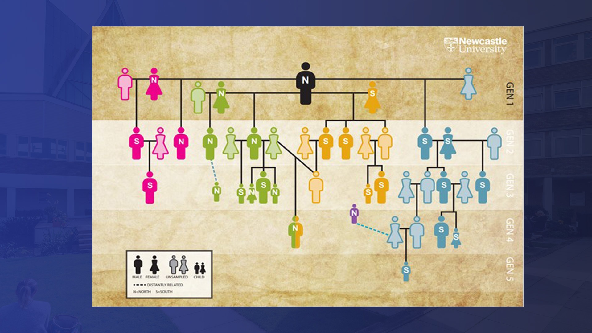 Ancient DNA reveals the world’s oldest family tree - Canterbury Christ ...