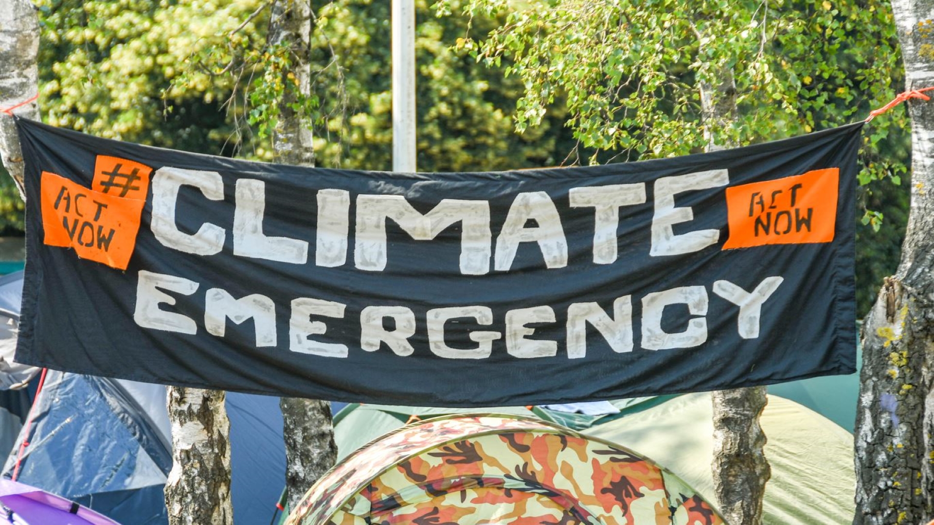 Report calls on government to act following research into climate ...