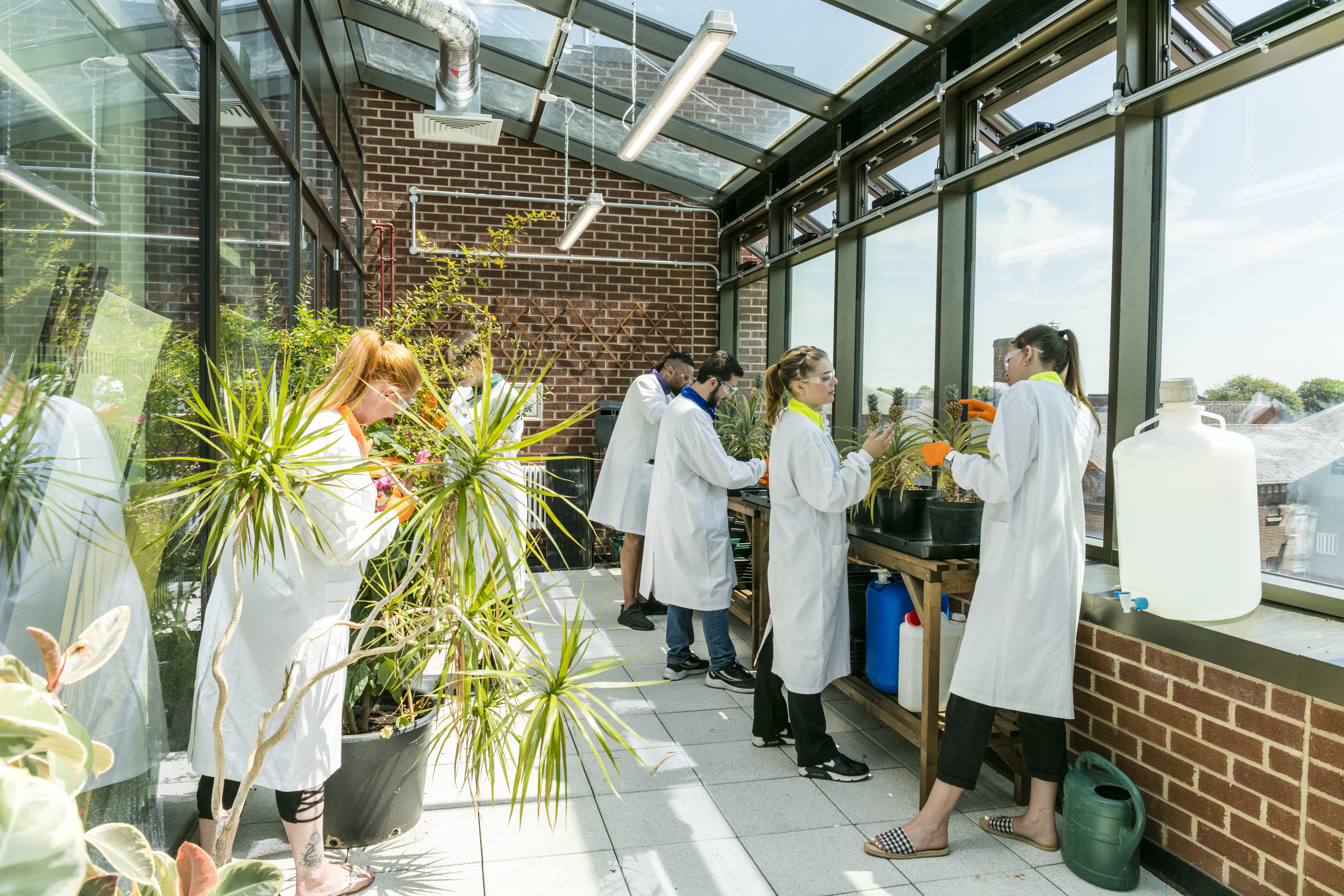 Funding for Horticulture MSc by Research | CCCU