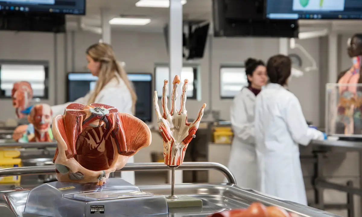Anatomy Learning Centre - Canterbury Christ Church University