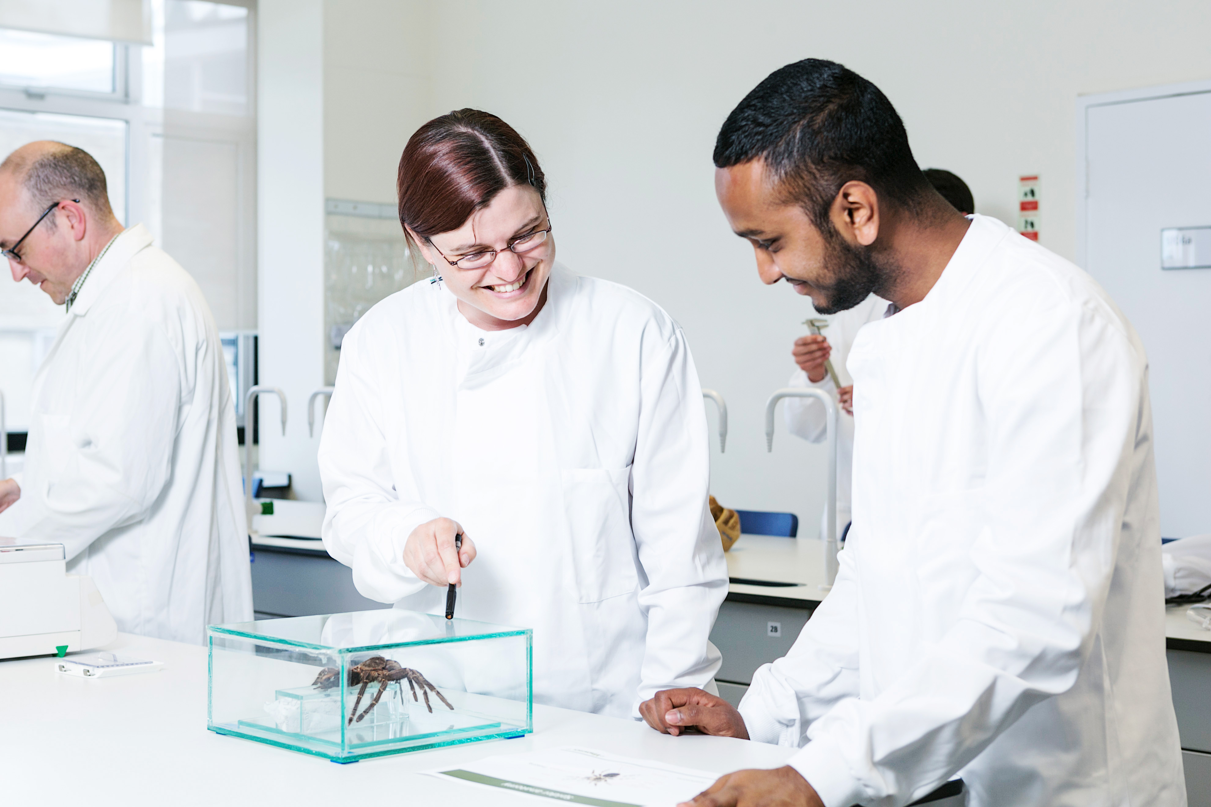 Animal Science - Canterbury Christ Church University