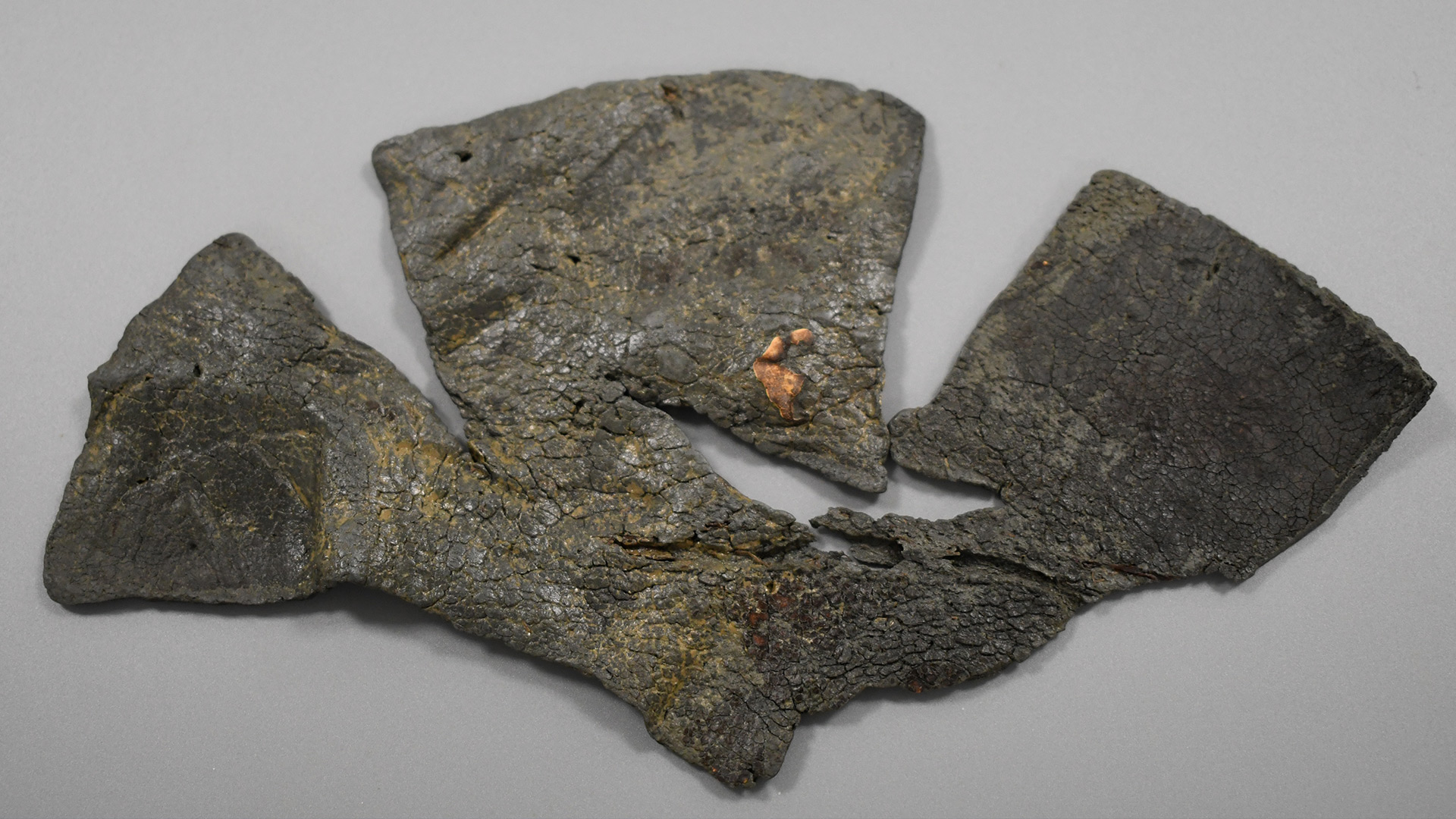Discovering the secrets of UK’s oldest leather | CCCU